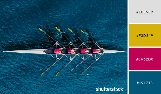 Shutterstock's colour palettes for your brand | Designerbloom Graphic ...